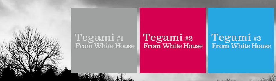 Tegami #1 到着 | ざいおんプラス